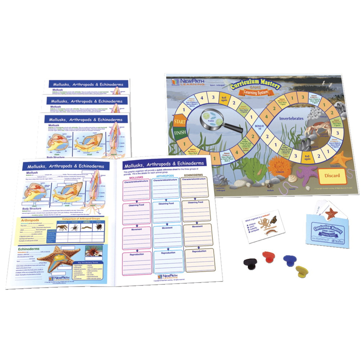 Newpath Mollusks, Arthropods And Echinoderms Learning Center, Grades 6 ...