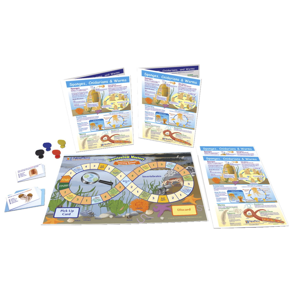 Newpath Sponges, Cnidarians And Worms Learning Center, Grades 6 To 8 ...