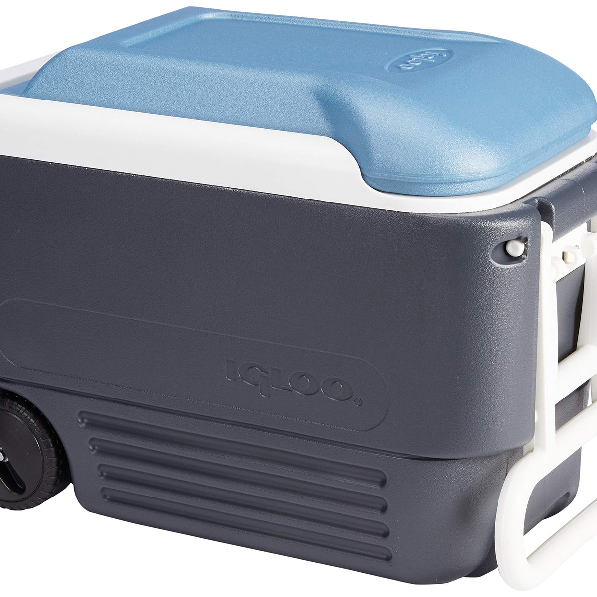 Igloo Quart Maxcold Cooler, Blue/Navy, 40 Qt – Virventures