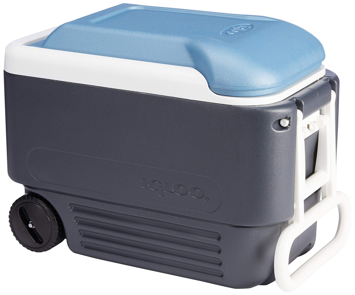Igloo Quart Maxcold Cooler, Blue/Navy, 40 Qt – Virventures