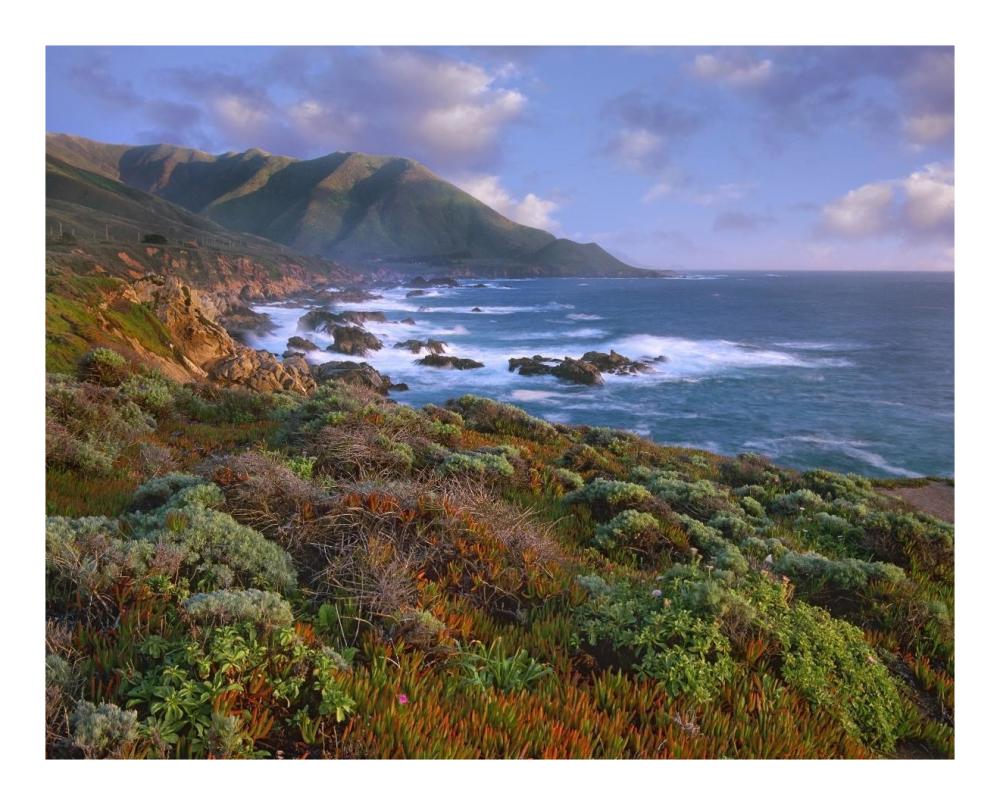 Cliffs And The Pacific Ocean, Garrapata State Beach, Big Sur ...
