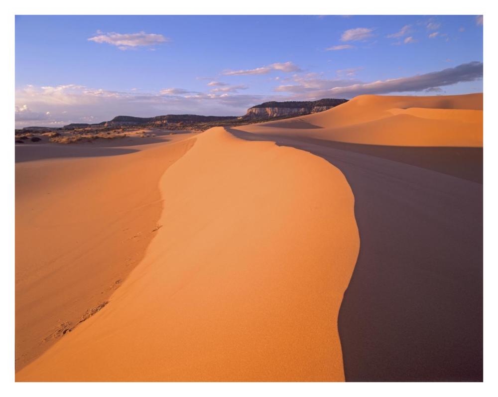 Wind Ripples In Sand Dunes Beneath Sandstone Cliffs, Coral Pink Sand ...